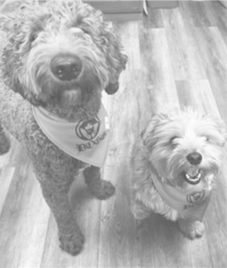 The Crew - Wright Building & Design